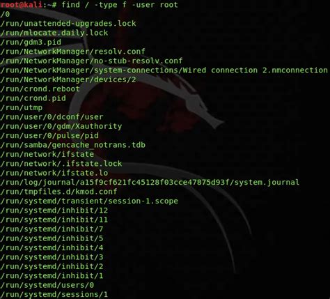 The Linux Find Directory Command Explained