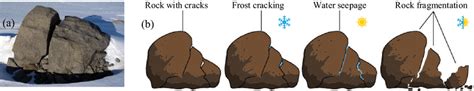 A Field Observed Frost Cracks And B Schematic Of The Frost Cracking Download Scientific Diagram