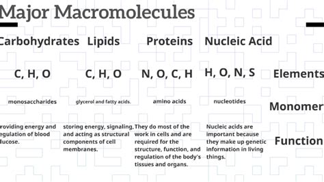 4 Major Macromolecules By Juan Barnes On Prezi