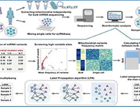 Modelling Sample And Observational Level Variability Improves Power In