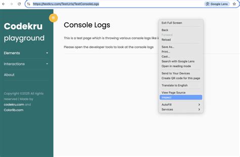 How To Capture Console Logs In Selenium Python Codekru