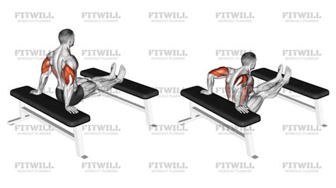 Bench Dip With Legs On Bench Exercise Guide Techniques Benefits How