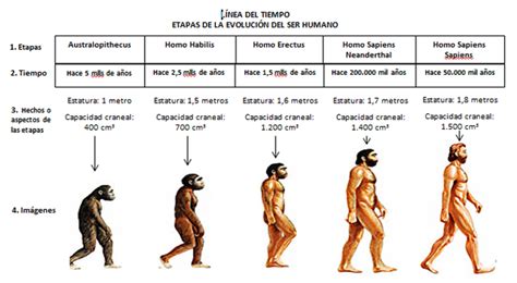 Mapa Mental De La Evolucion Del Hombre Tienes Que Saber Esto Images