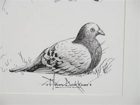 Piet Van Dokkum Piet Van Dokkum Pentekening Duiven In T Bos Verkauft Den Auktionserlös