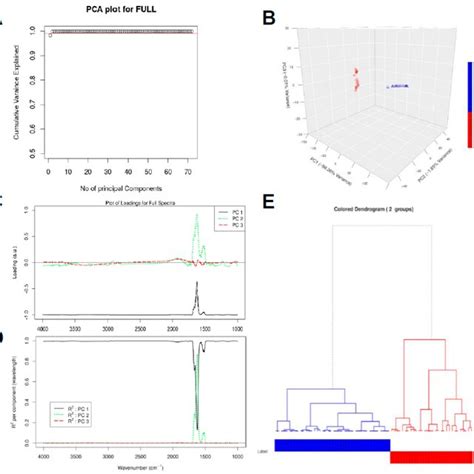 Chemometric Analysis Of Ftir Experimental Data On The Full Spectral Download Scientific Diagram