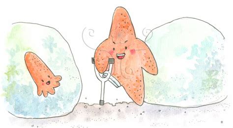 Reproduction How Amazing Echinodermata Is