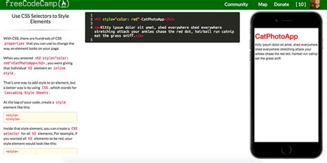 Website Issue Screen Doesnt Scroll Down The Freecodecamp Forum
