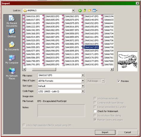 Can We View The Preview Of Eps File Coreldraw X6 Coreldraw Graphics Suite X6 Coreldraw