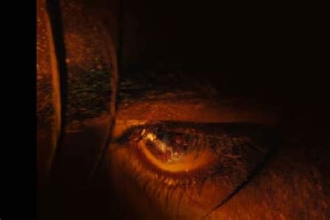 New Poster Released From Jawan Vijay Sethupathis Intense Eyes Seen