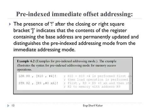 Memory Access Instructions Pdf