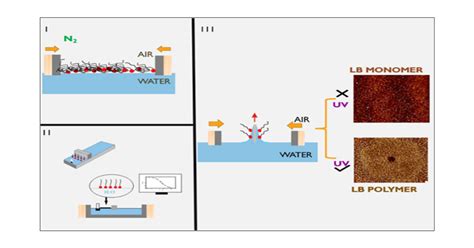 On The Preparation Of Thin Films Of Stearyl Methacrylate Directly Photo Polymerized At The Air