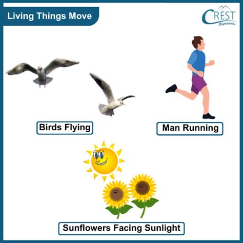 Living And Non Living Things Class 1 Explained