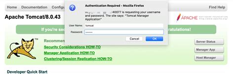 CVE Tomcat Pass Getshell Vuln Training