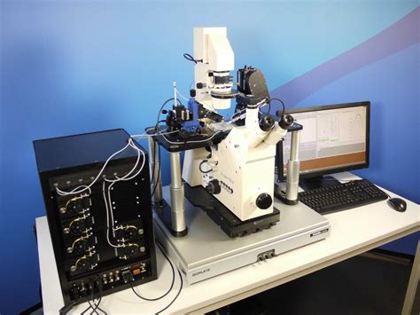 Patch Clamp Technique At Lois Coffman Blog