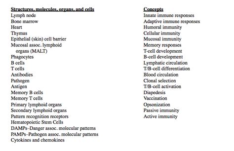 Solved Please Draw A Flowchart Or Concept Map I M A Chegg Com