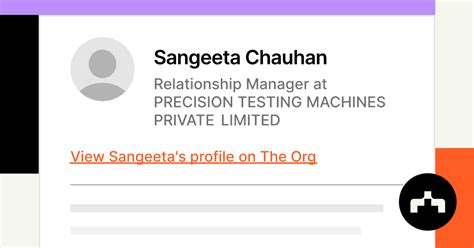 sangeeta chauhan relationship manager at precision testing machines private limited the org