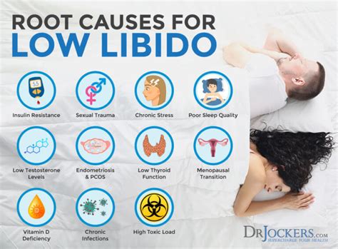 Low Libido Symptoms Causes And Support Strategies