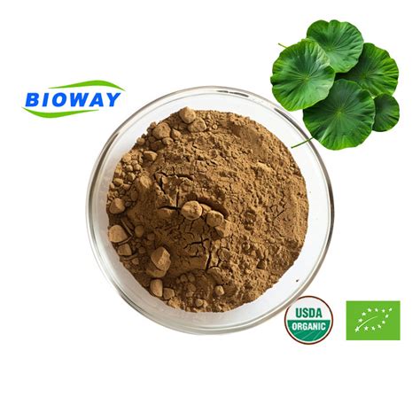 Famous Bulk Certified Organic Oat Grass Powder Supplier Manufacturer