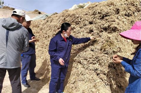 畜牧研究所坚持调研开路 加快构建特色驴产业联盟 新疆畜牧科学院