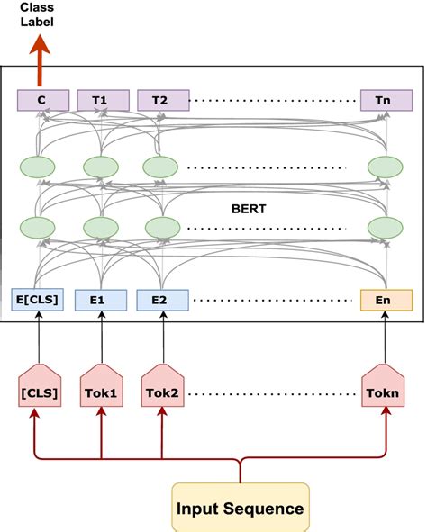 Illustration Of Fine Tuning BERT On Single Sentence Classification