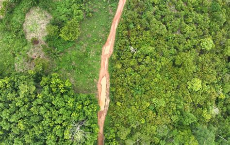 Remote Sensing Solutions Gmbh On Linkedin Forests4future Implements