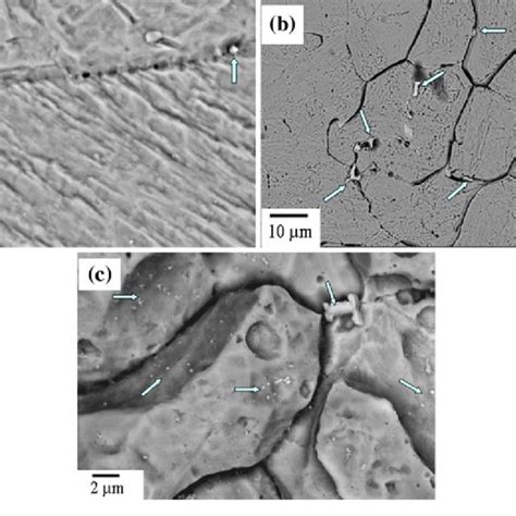 Pinning Of Austenite Grain Boundaries By Tin Particles Arrowed And Ti Download Scientific