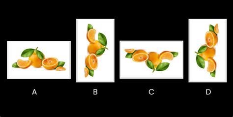 Image Data Augmentation In Computer Vision Imagevision Ai