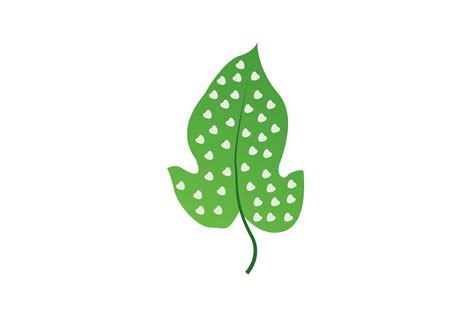 Cute Monstera Illustration Graphic By Hijaudaun · Creative Fabrica