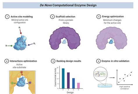 computational enzyme design with de novo design [26] download
