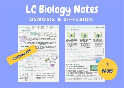 Osmosis And Diffusion Notes Leaving Cert Biology Etsy