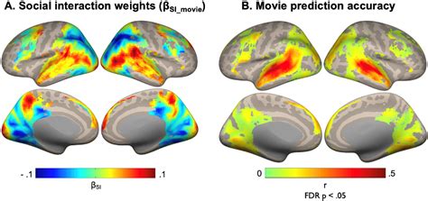Figure 4 From A Shared Neural Code For Perceiving And Remembering