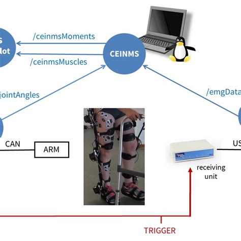 Shows A Schematic Representation Of An Emg Driven Nms Model Composed