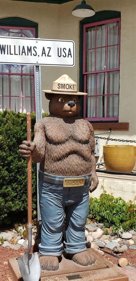 Smokey The Bear Statue In Williams Arizona Editorial Image Image Of