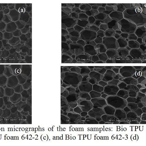 Pdf Development Of Water Blown Bio Based Thermoplastic Polyurethane Foams