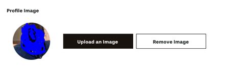 Javascript Hi I Am Trying To Add The Material Ui Iconbutton With Input Ref To Upload The Image