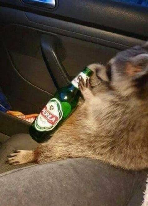odd photos from polish networks 15 pics