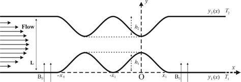 The Pulsatile Fluid Flow Channel With Double Constrictions Download Scientific Diagram