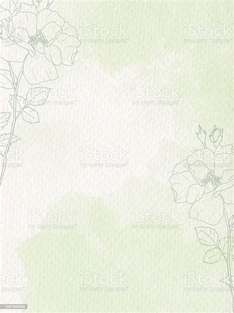 파스텔 그린 라인 아트 장미 꽃다발 프레임 수채화 젖은 씻기 스파시 배경 0명에 대한 스톡 벡터 아트 및 기타 이미지 0명