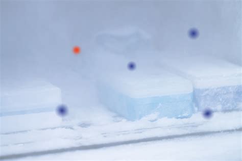 Temperature Mapping Services I Pacific Science Llc