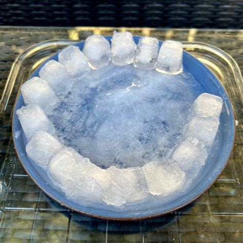 Make An Ice Cube Igloo Mud Bloom