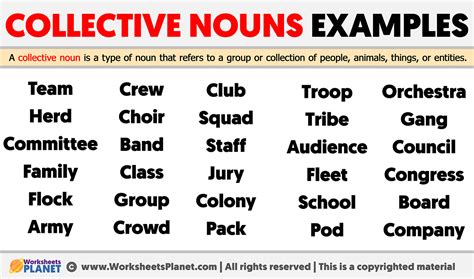 Collective Noun Examples
