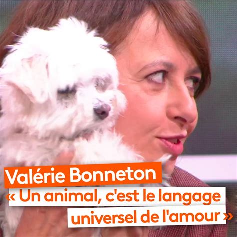 Un Animal Cest Le Langage Universel De Lamour Valérie Bonneton