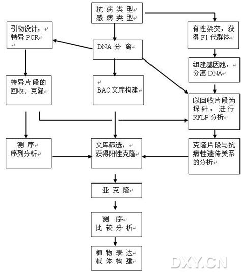 经验技术图册 360百科