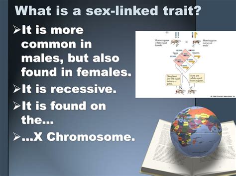 PPT The Gene PowerPoint Presentation Free Download ID 193079