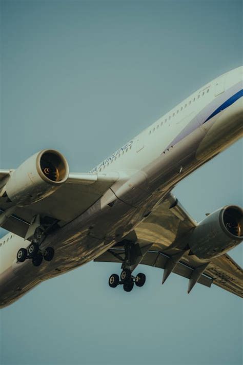 고도 공기 역학 공중 교통 기내 꼬리 지느러미 날개 날개 길이 날으는 동체 랜딩기어 내리다 맑은 하늘 매일 비행 머리 위로 민간 항공 방송중에