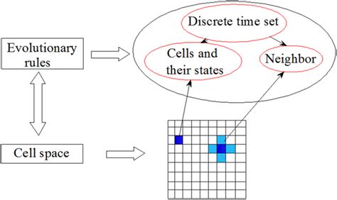 relationship of the different components of cellular automata download scientific diagram