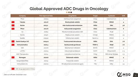 Global Adc Drug Development And China Opportunities Report — Msq