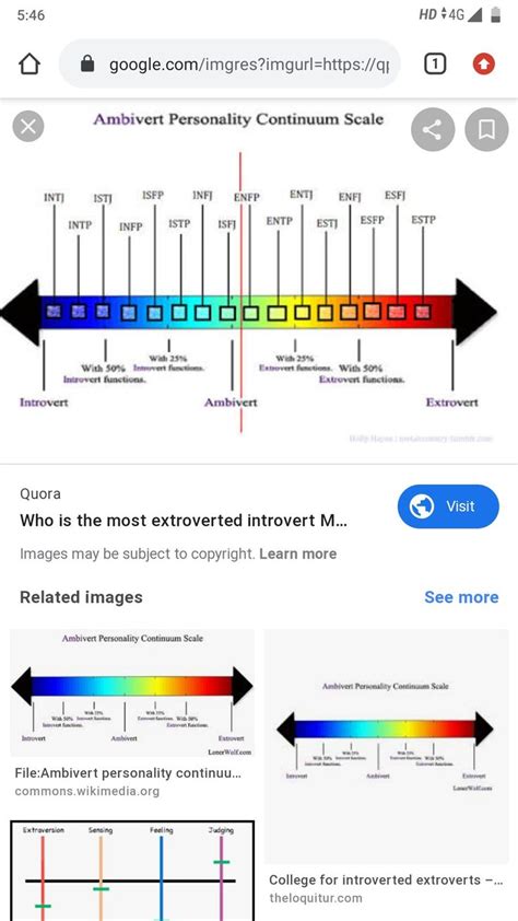 Pin By Aysun Bilgili On Intj Extroverted Introvert Extrovert Myers
