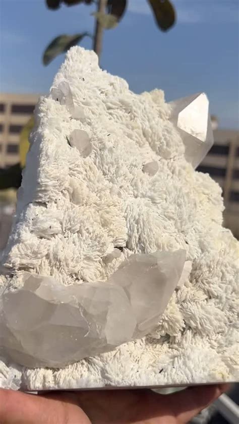 Zia Crystal Zia Crystals Instagram Photos And Videos