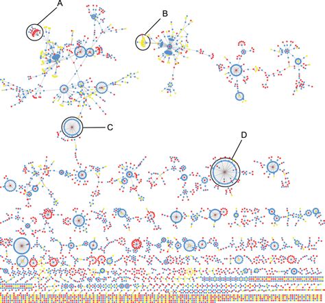 Network Of Best Hits Between Subgraphs Of Ppi Genetic And Coregulation Download Scientific